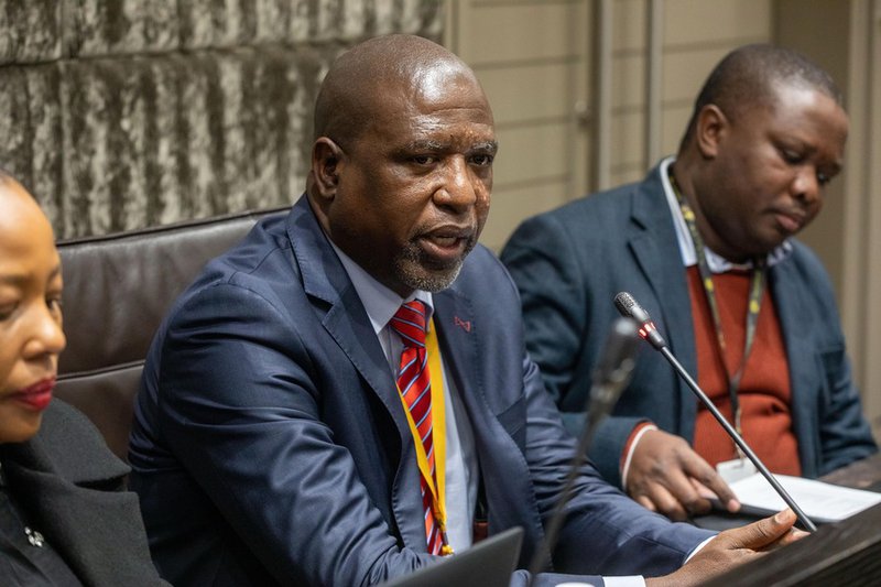 ANC MP’s leadership of Mkhwanazi ad hoc committee questioned