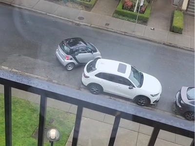 SMART car's not-so-smart parking