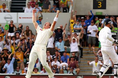 Australia's Siddle announces international retirement