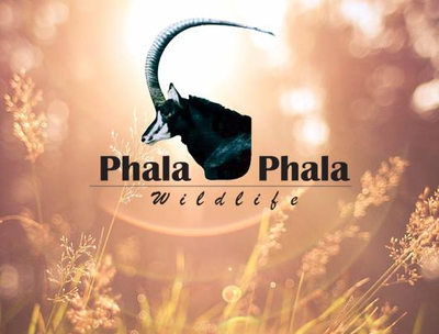 Phala Phala scandal: ATM says prosecution decision undermines ...