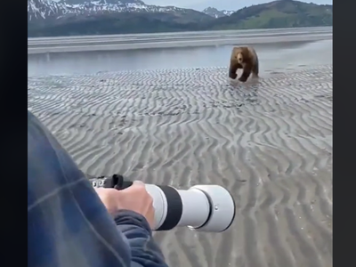 Wildlife photographer scares off bear with shouting