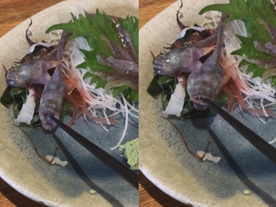 Do you like eating raw fish? This creepy looking live fish dish will ...