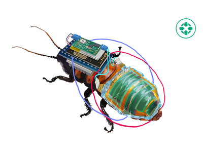 BIZARRE: Cyborg cockroaches could be the future of rescue missions?!