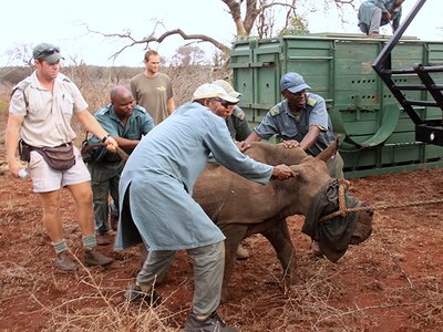 Private army protects world's largest rhino farm