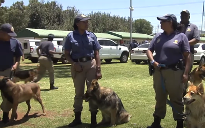 SAPS K9 dogs deployed to find missing persons in Joburg CBD
