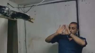 Man takes on giant python in a deadly battle