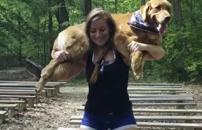 The 'Squat Your Dog' challenge takes the internet by storm