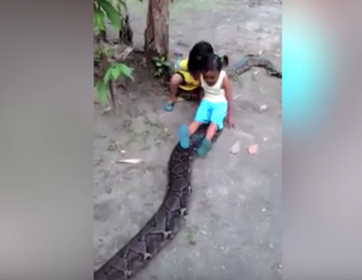 Watch: Toddlers ride python in Indonesia