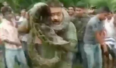 Selfie with python almost turns deadly for park ranger