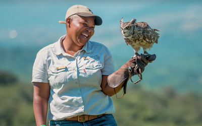 Owls: Why you need to give a hoot about these misunderstood birds