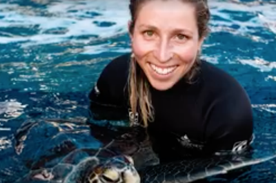 Only one in every 1,000 baby turtles survives: Here’s how you can help