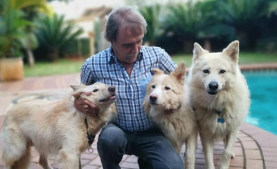 Lost but found: Shakira the dog returns home - 19 months later