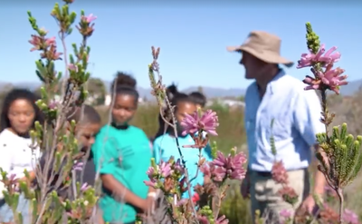 Discover the astounding biodiversity hidden in the Cape Flats