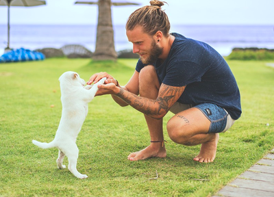 SPCA PMB given R10,000 due to misleading Food Lovers Market poster