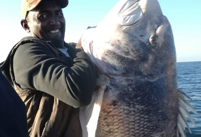 PMB fisherman caught a 47kg mussel cracker in Durban