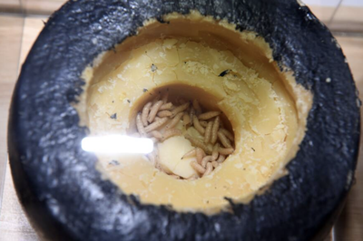 Dare to eat the world's most decadent and dangerous cheese?