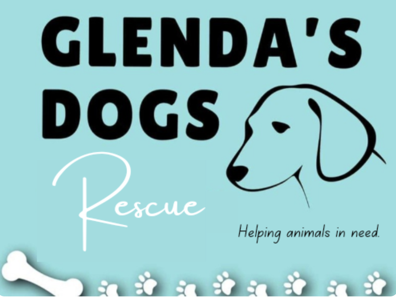 Animal rescue shelter facing hardship receives unexpected good news