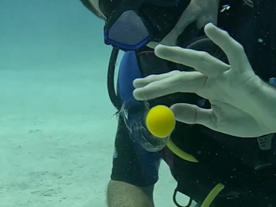 Here's what a cracked egg looks like underwater