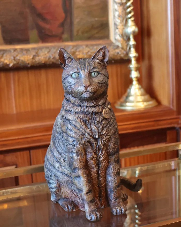 Skabenga the Cat’s statue unveiled at the Oyster Box Hotel