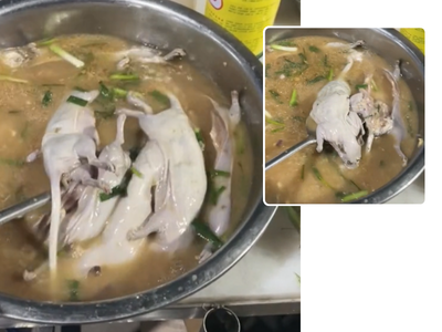 The literal version of 'Rat-atouille' soup