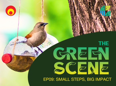 Small steps, big impact – practical ways to live greener