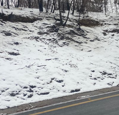 WATCH: Snow blankets Van Reenen's Pass, rain expected on Tuesday