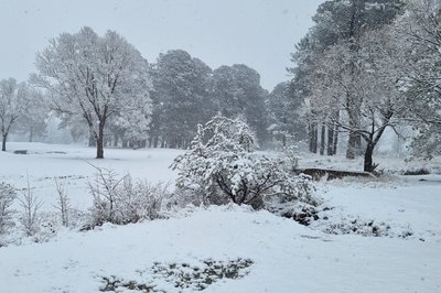 LOOK: KZN ‘winter wonderland’ as province blanketed in snow