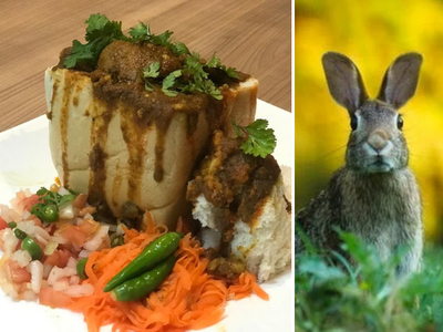 Bunny chows with rabbit meat - the Scenic Drive tests it out