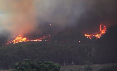 WATCH: Tokai forest on fire