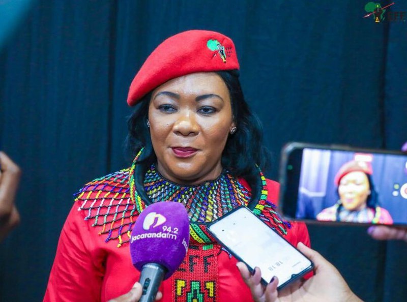 The EFF labels the mini budget as a ‘a waste of time’