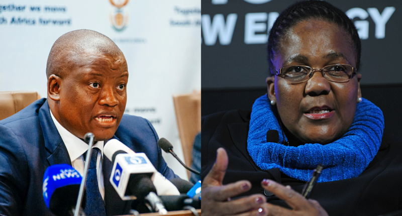 Dipuo Peters, Lungisa Fuzile