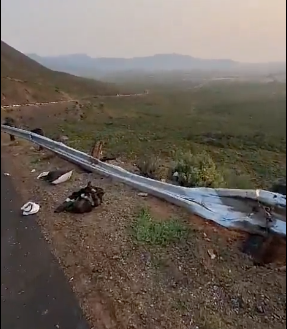 Bus swerves off Van Rhyns pass, nine dead