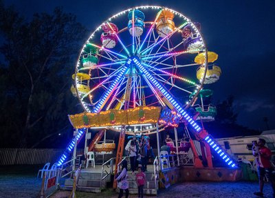 Visit the popular Durban carnival in town to explore some exciting wild ...