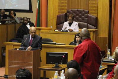 Parliament probing EFF conduct in Parliament