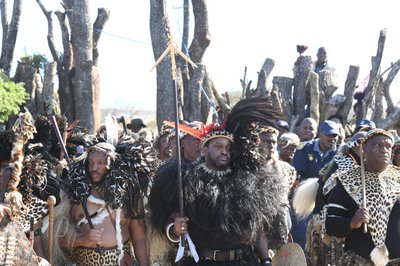 ANC hits back at animal rights activist over Misuzulu lion hunt