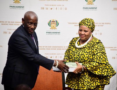 Phala Phala panel hands report to speaker