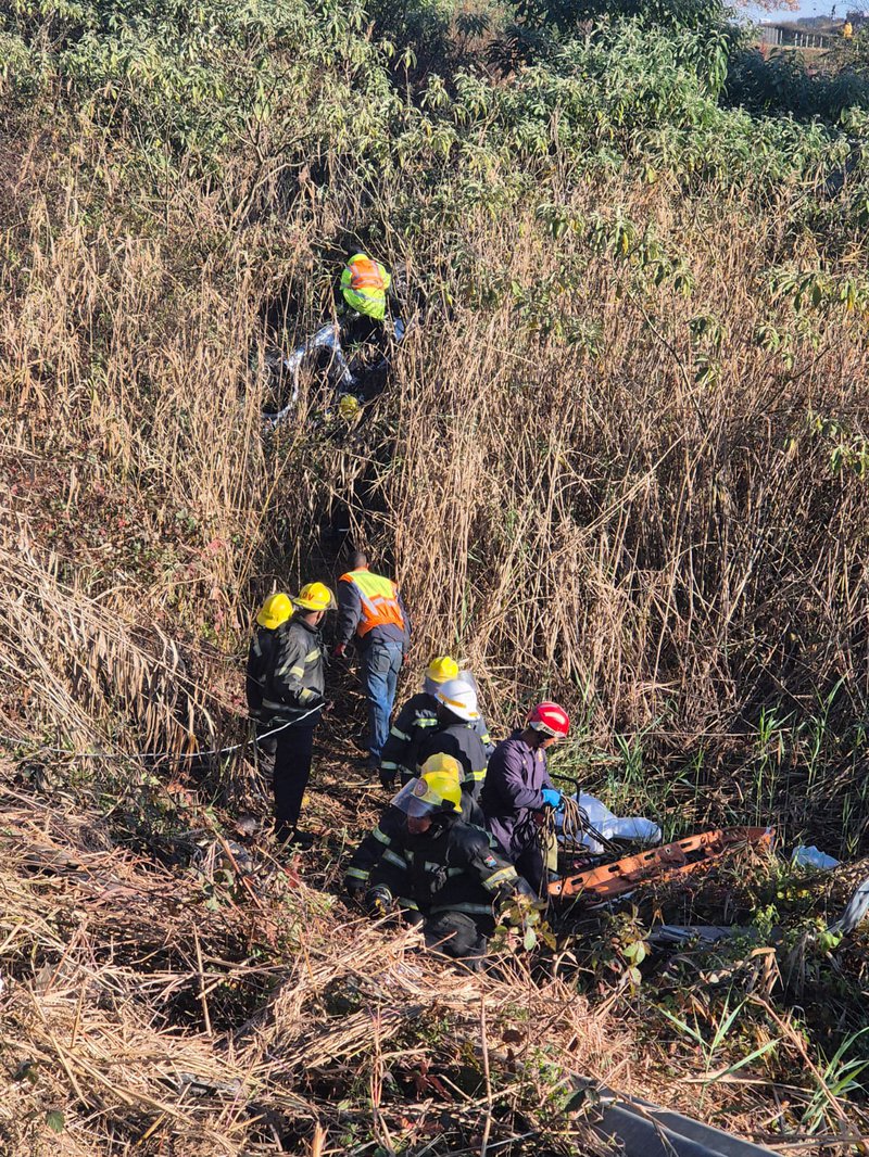 Four killed in horrific Howick accident