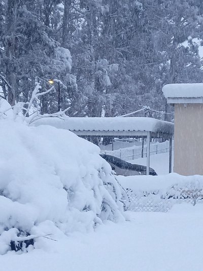 Snow forces closure of 3 ports of entry