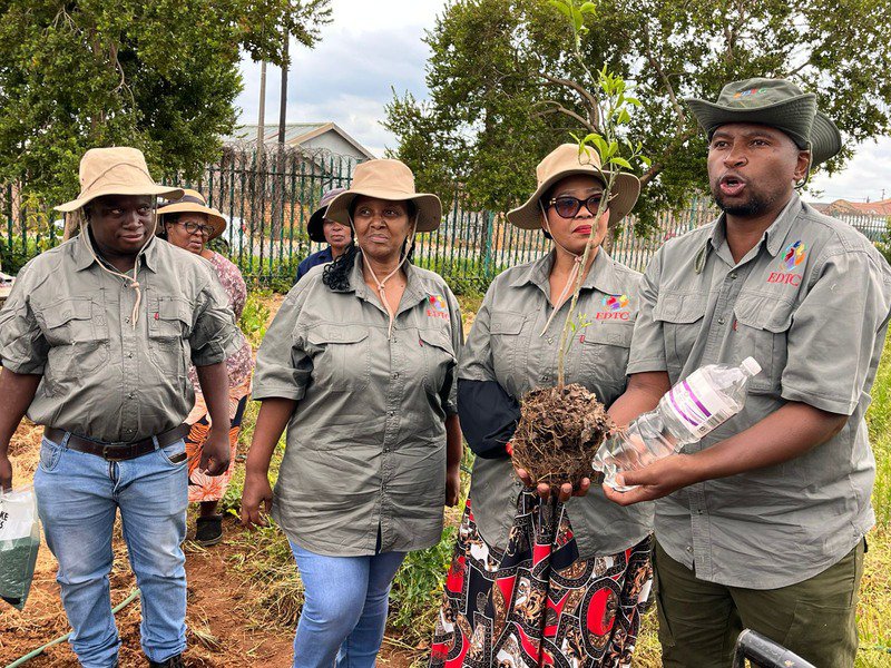 Food gardens to form part of school nutrition in Gauteng