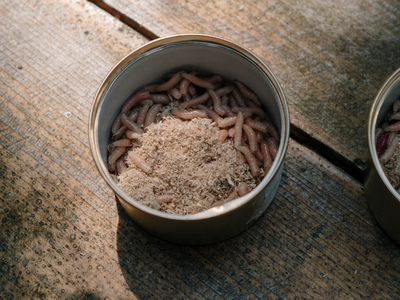 Maggots, the leading treaters of wounds and infections?