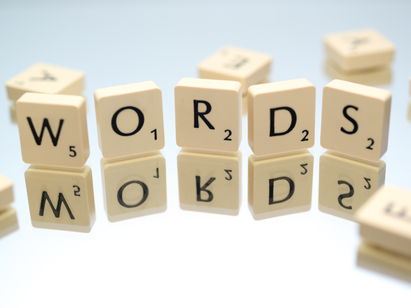 South Africa's most misspelled words in 2026