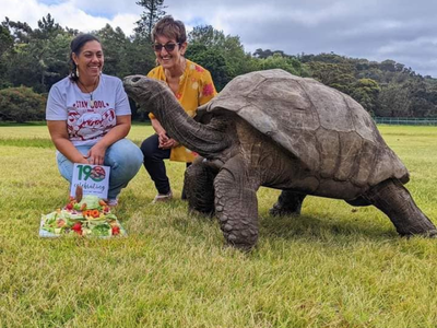 World's oldest tortoise celebrates his 190th birthday
