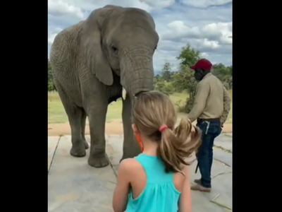 WATCH: Cute video of elephant mimicking young girl