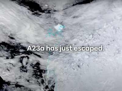 WATCH: World's biggest iceberg runs aground risking wildlife