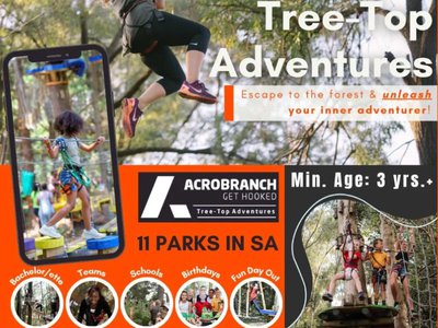 Acrobranch Hillcrest’s ‘tree-mendous’ adventures await