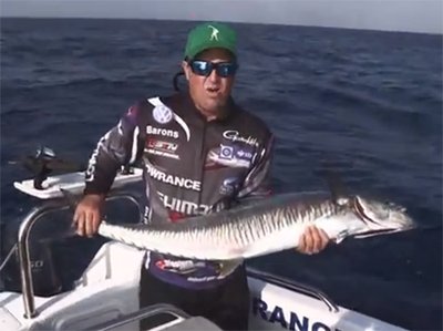 VIDEO: KZN south coast fishing