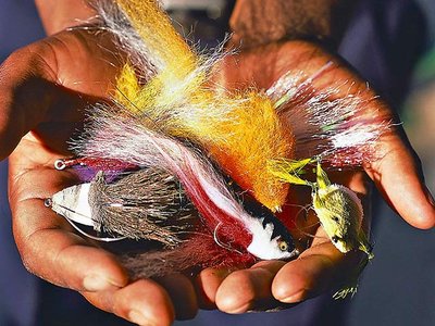 VIDEO: Skipjack on a fly