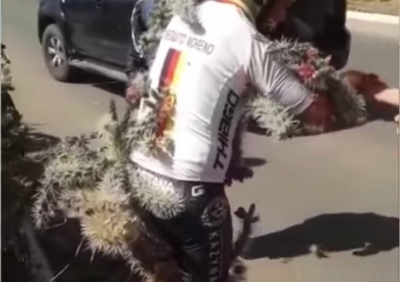 WATCH: Ouch! This cyclist has the worst fall in a cactus ditch