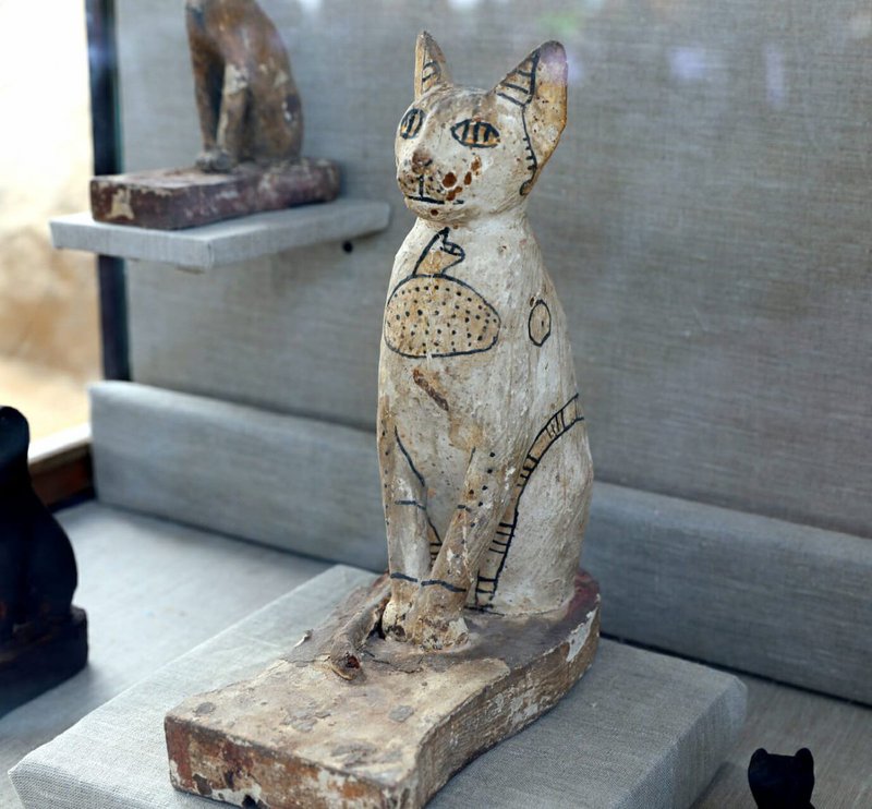 Cat Mummies Unearthed In Cairo Tombs
