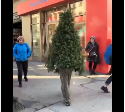 Why did the Christmas tree cross the road?